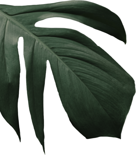 Saffron By The Sea | Bar & Fine Indian Cuisine